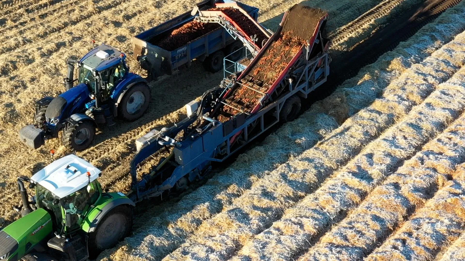 Kettle Produce | Eden Scott