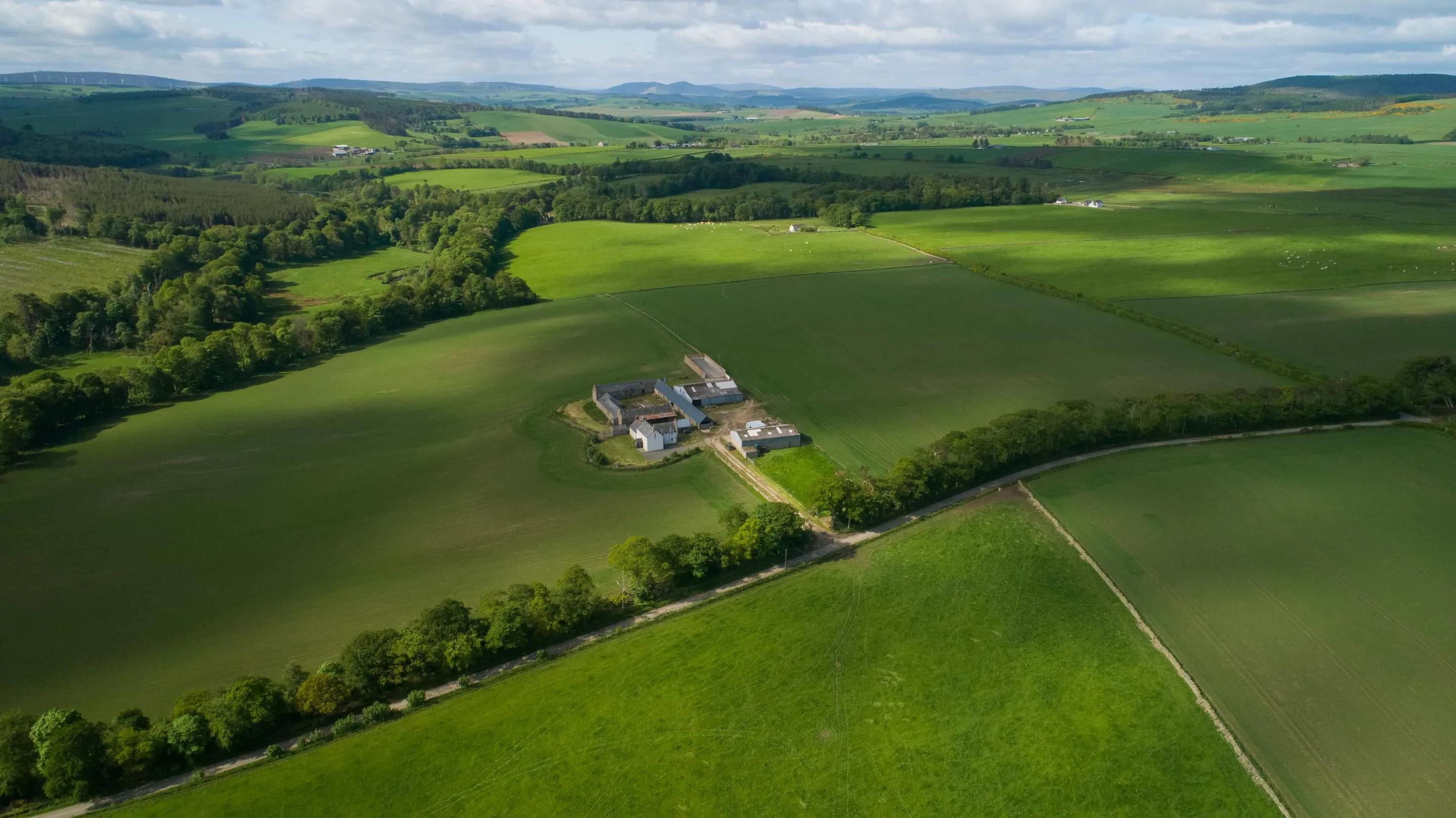 ANM Group | Eden Scott