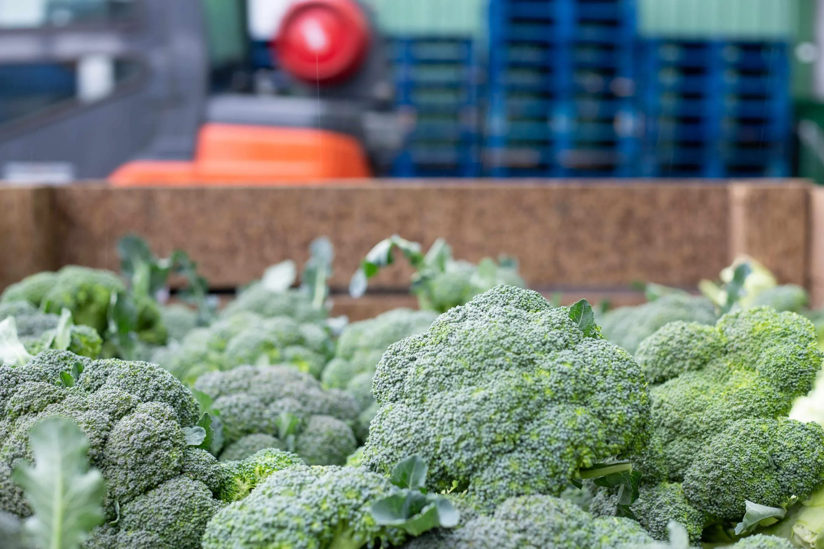 Kettle Produce | Eden Scott