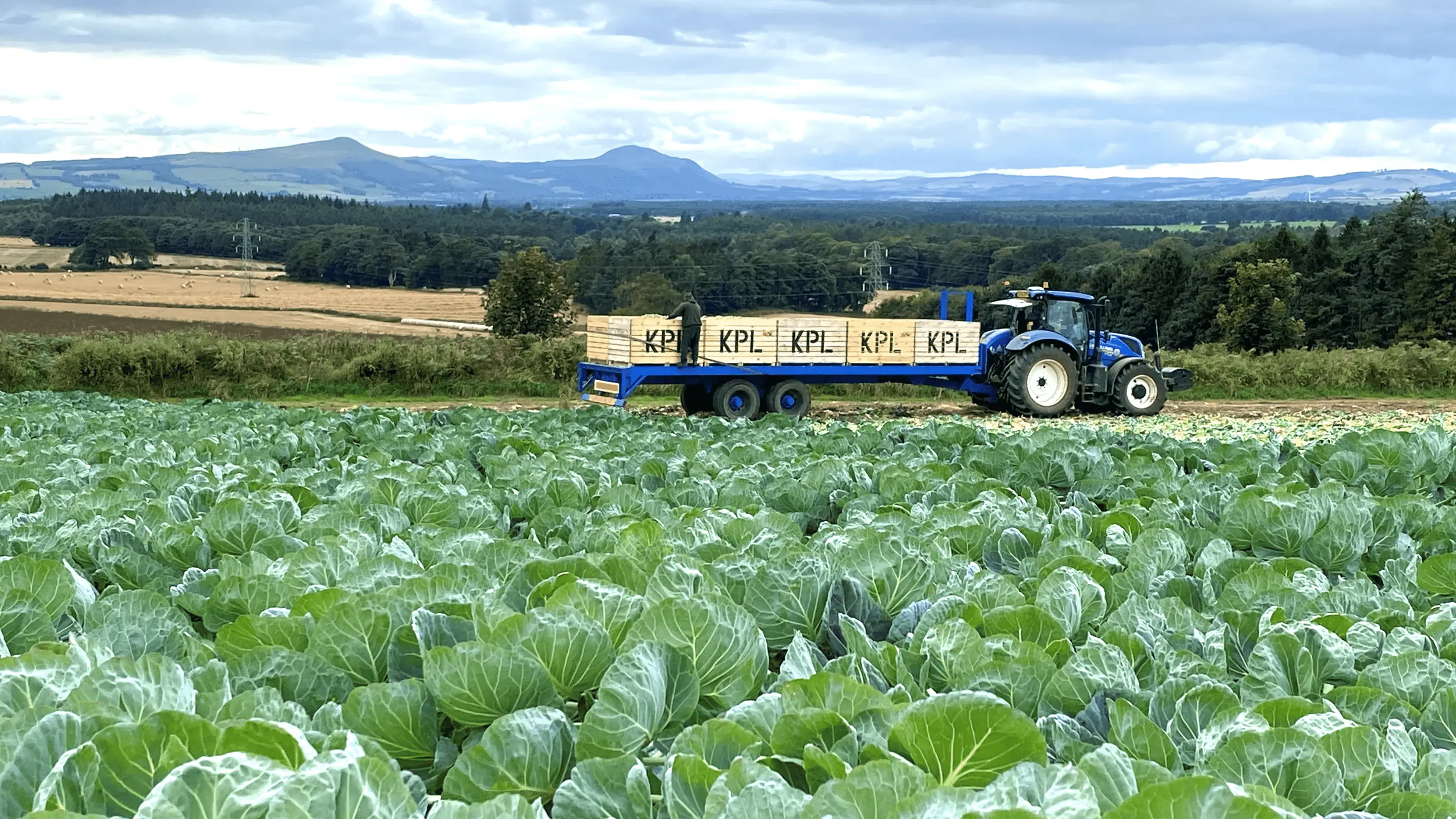 Kettle Produce | Eden Scott